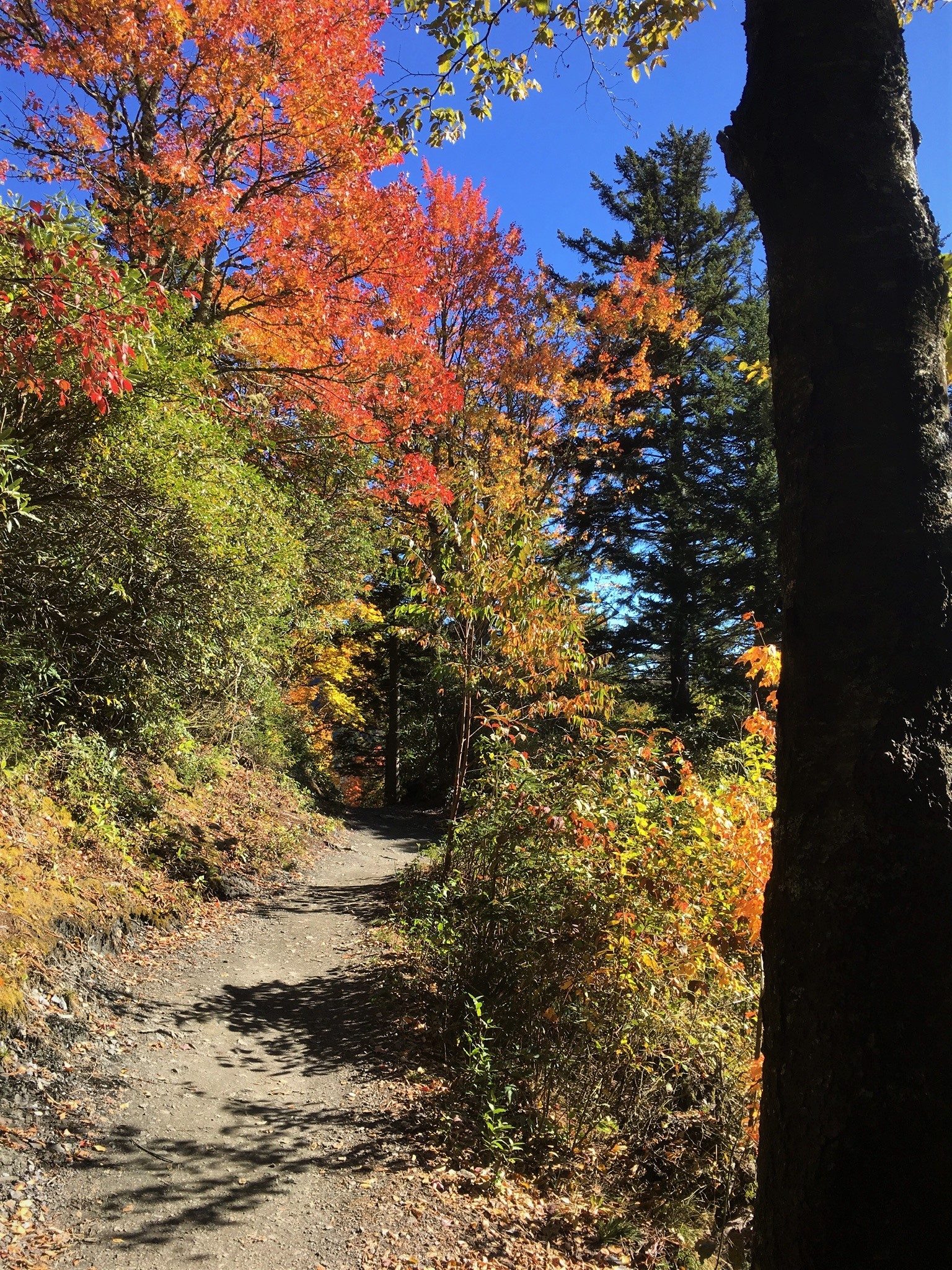 Hester’s Last Hike – Character in the Making
